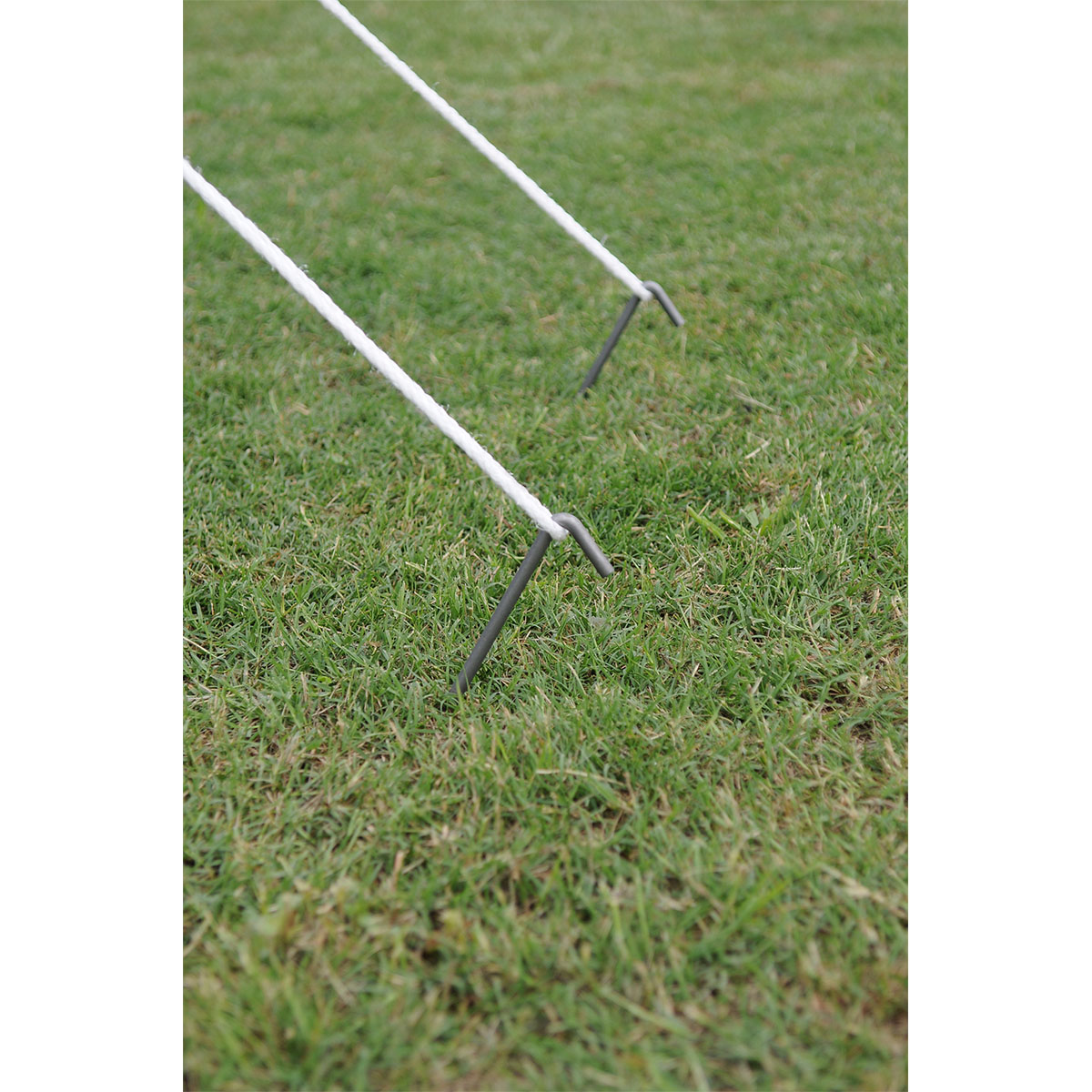 Tent Pegs: Tent Pegs