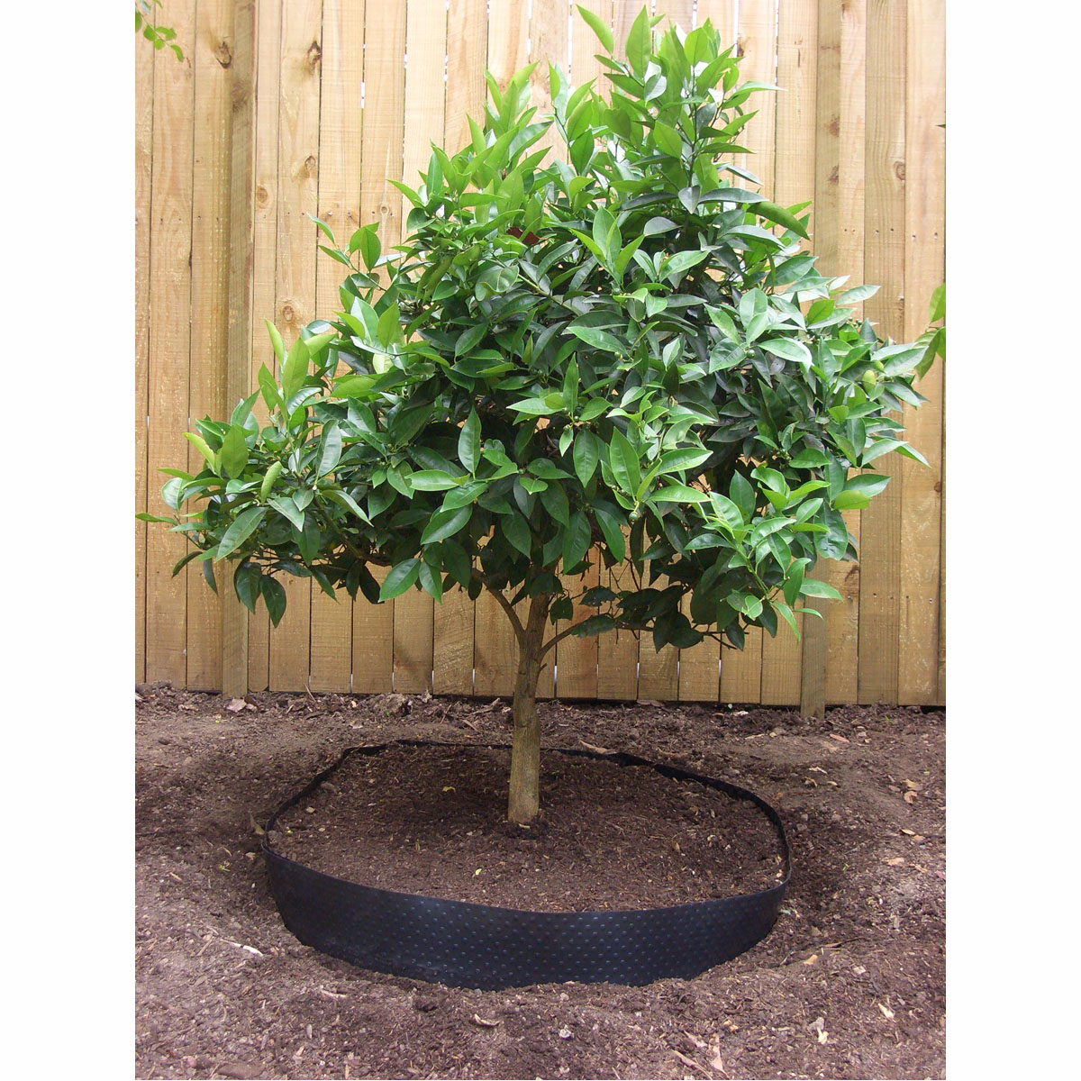 Landscaper's Edging: Root Barrier