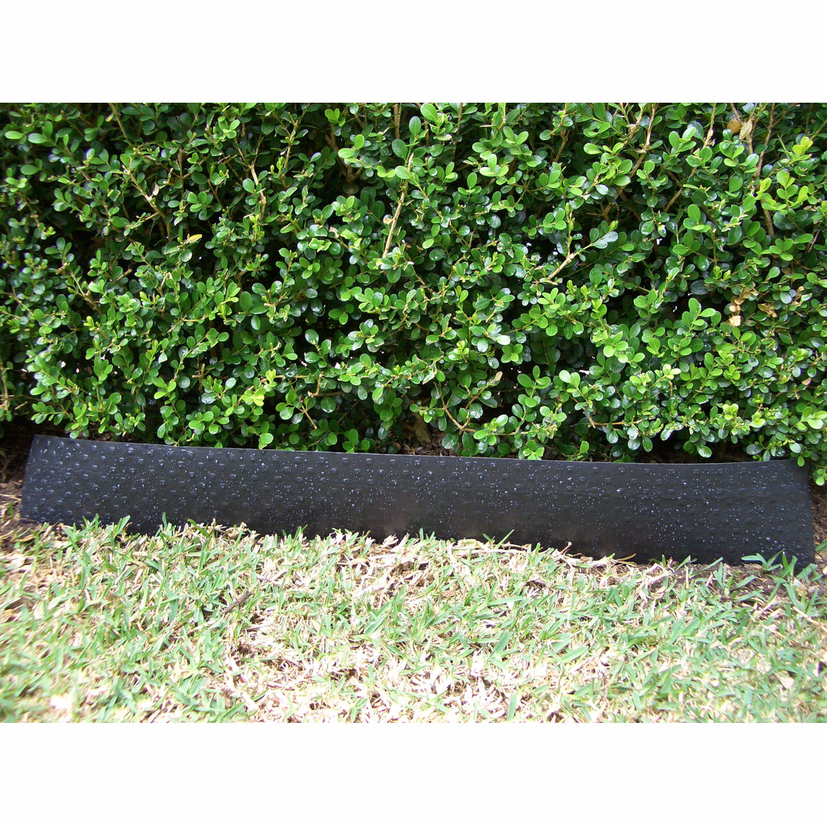 Landscaper's Edging: Root Barrier
