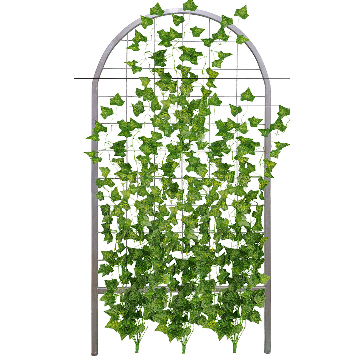 Grip & Grow: Grip & Grow Frames