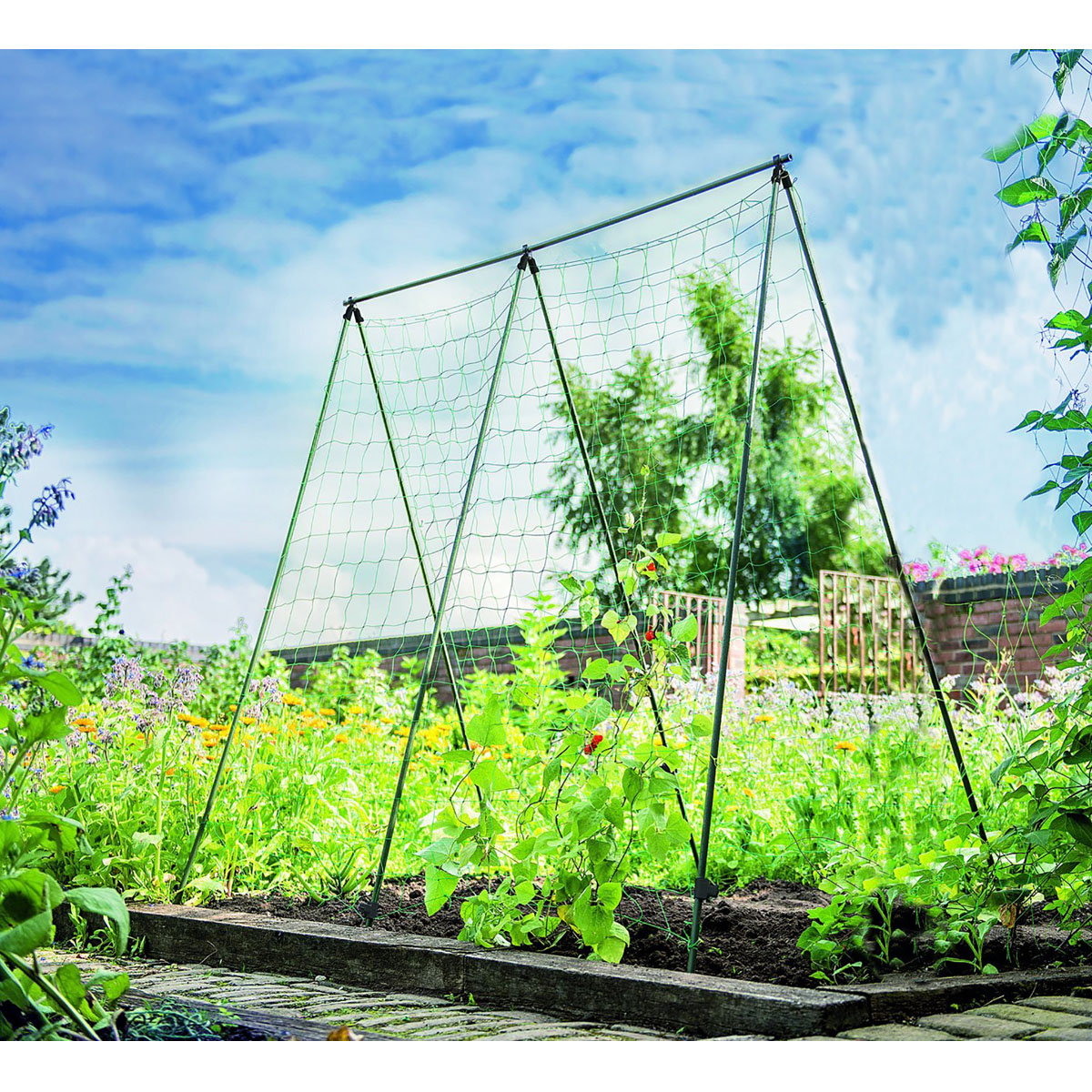 Cages & Frames: Pea & Bean Frame