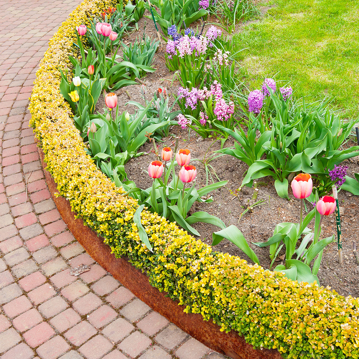 Edging: Oxy-Shield Flexible Interlocking Edging Strip