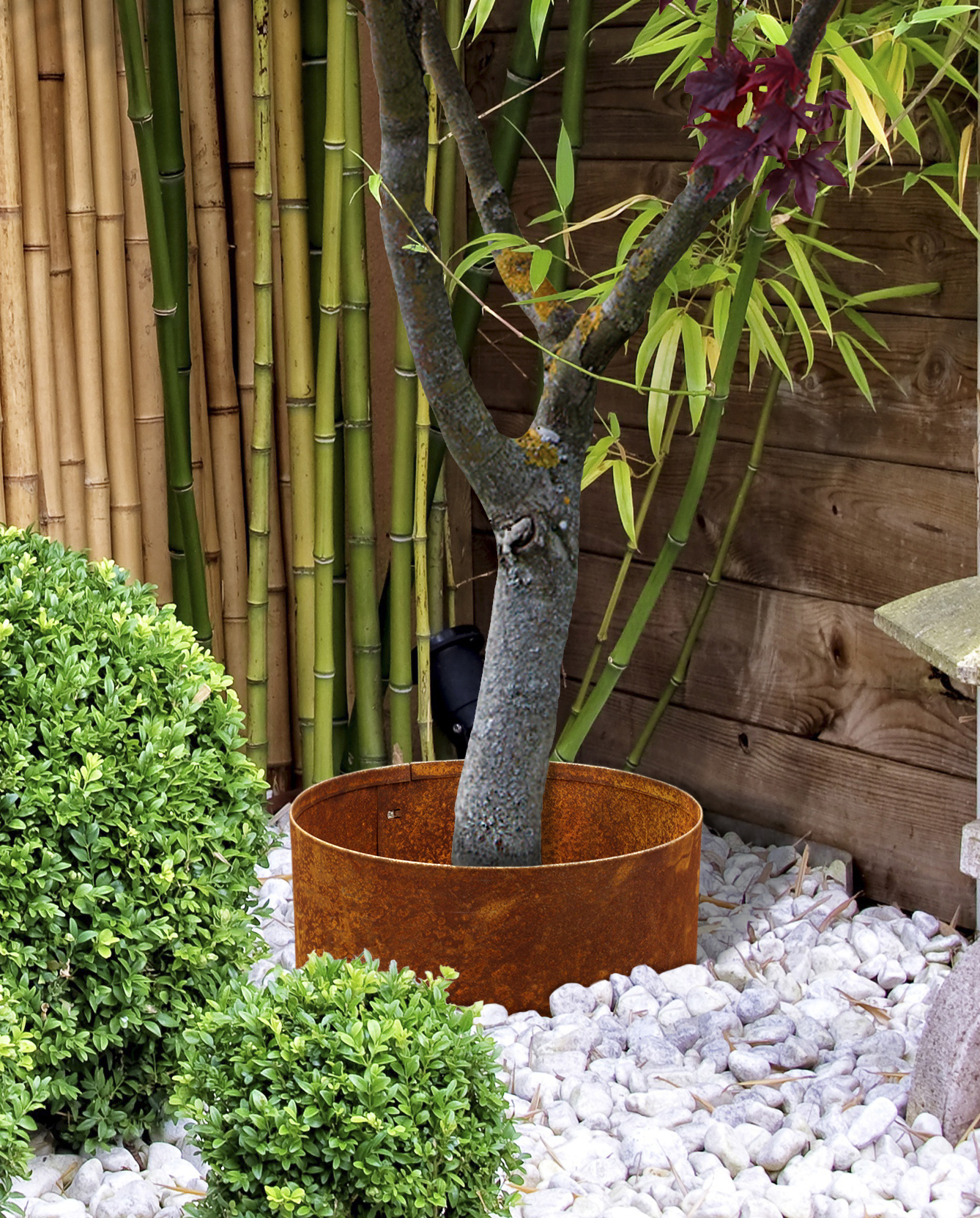 Plant Rings: Oxy-Shield Interlocking Tree Ring