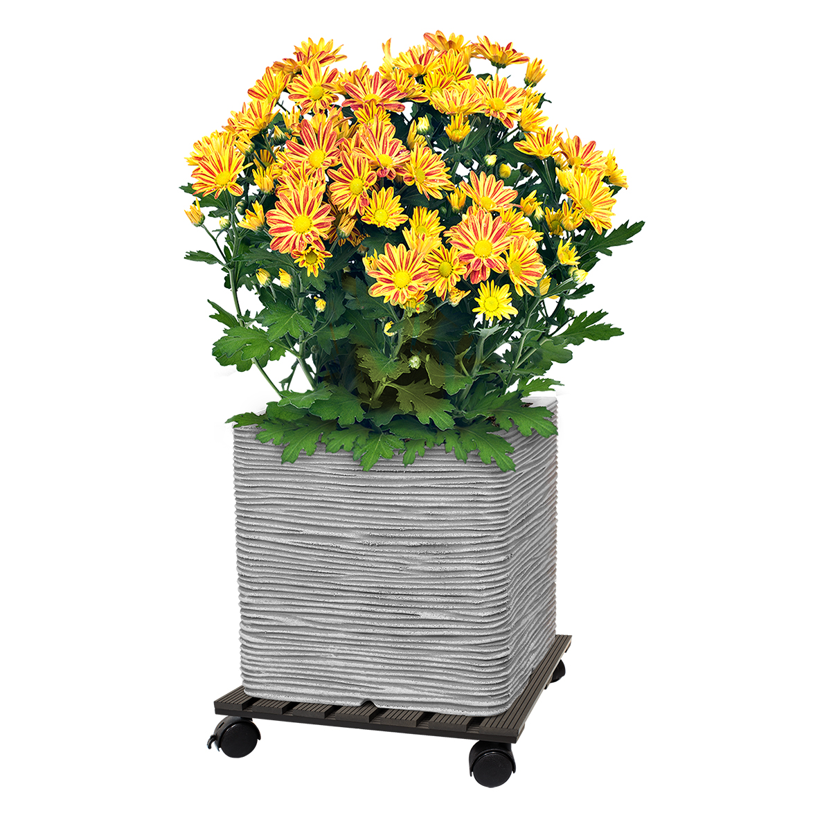 Plant Stands: Wood-Poly Composite Square Pot Trolleys