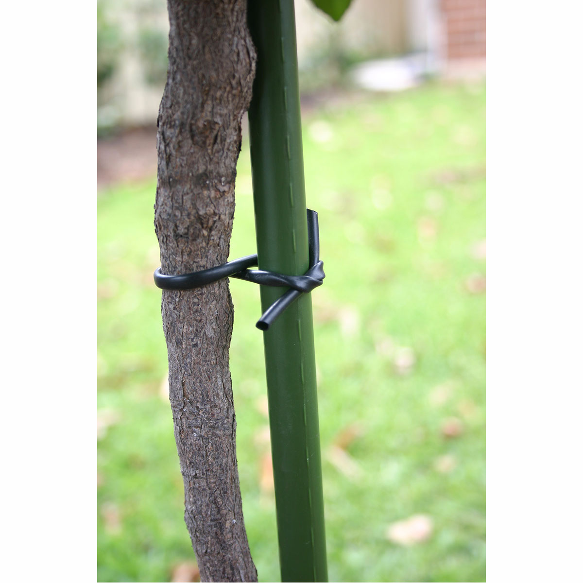 Plant Ties: Soft Lace Tie