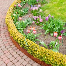 Edging: Oxy-Shield Flexible Interlocking Edging Strip